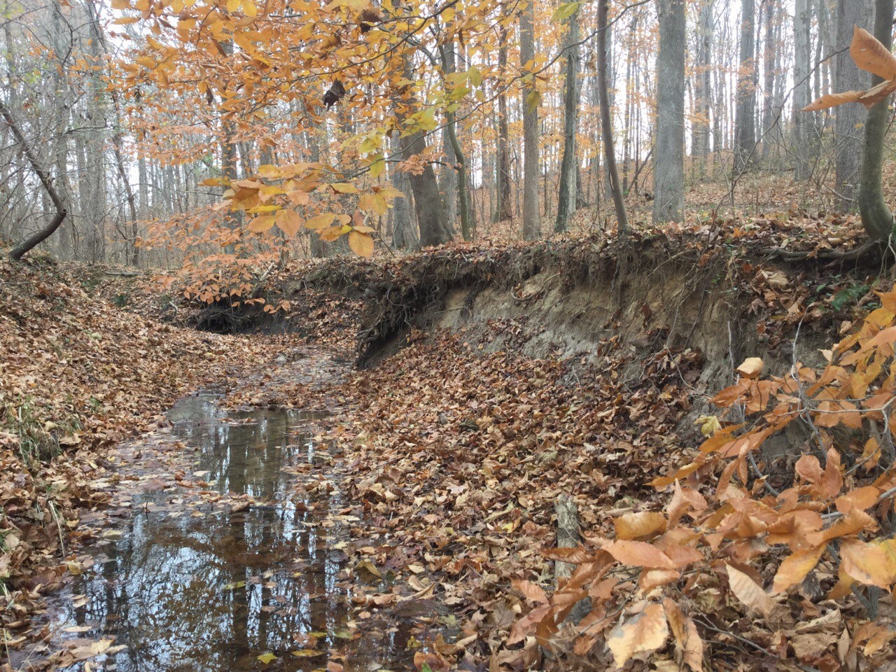 Herring Bay, Middle Patuxent, and Lower Patuxent Watershed Assessment ...