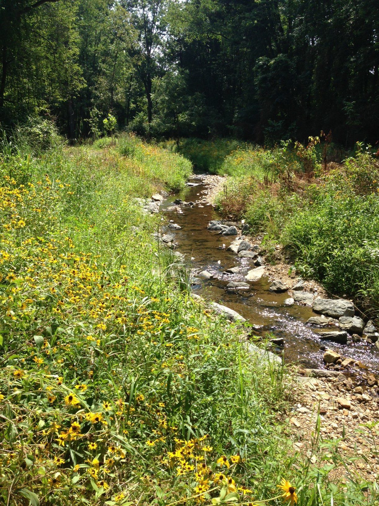 Intercounty Connector (ICC) Planning & General Engineering Contract ...