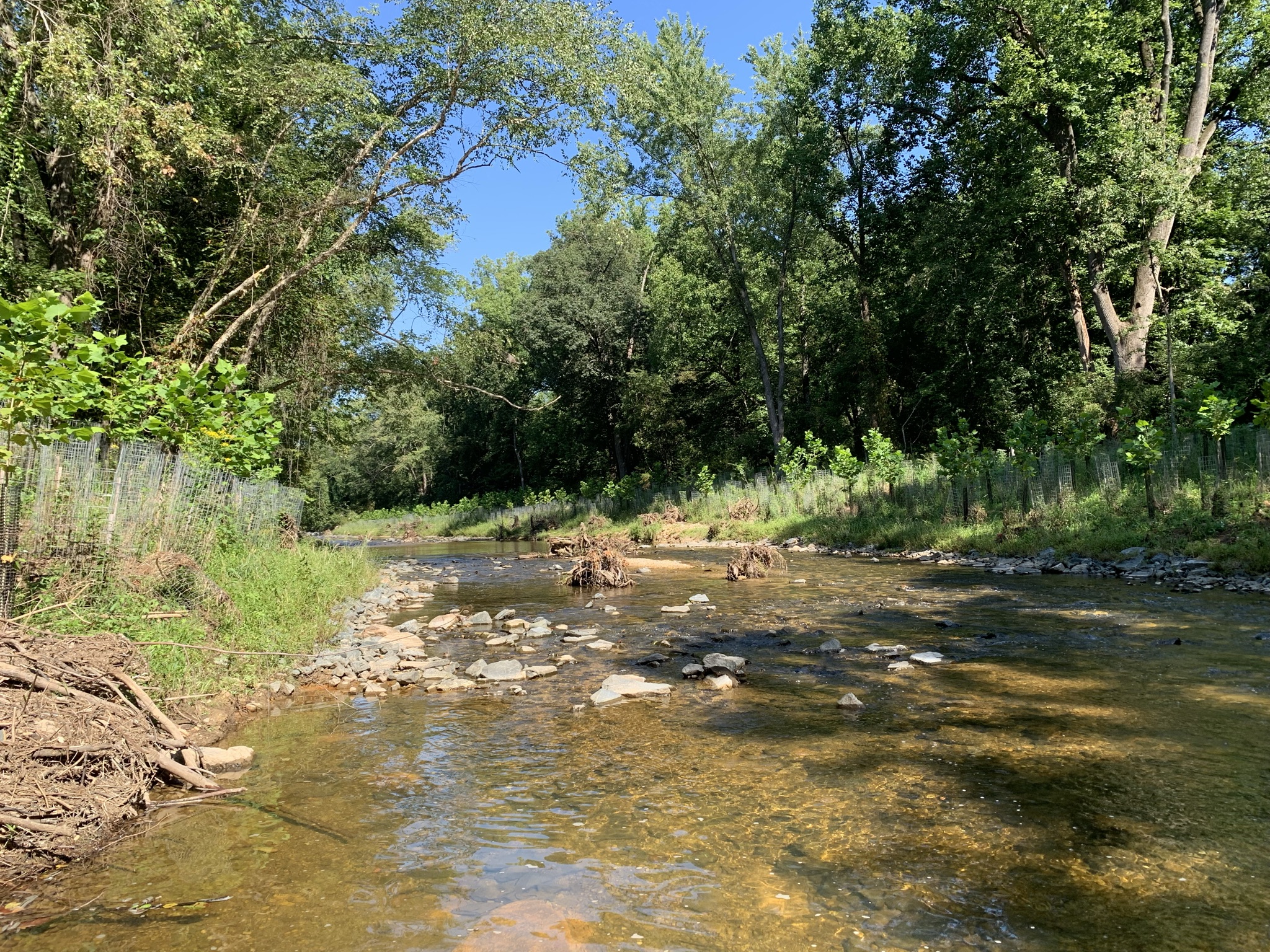 Paint Branch Stream Restoration - Coastal Resources, Inc.