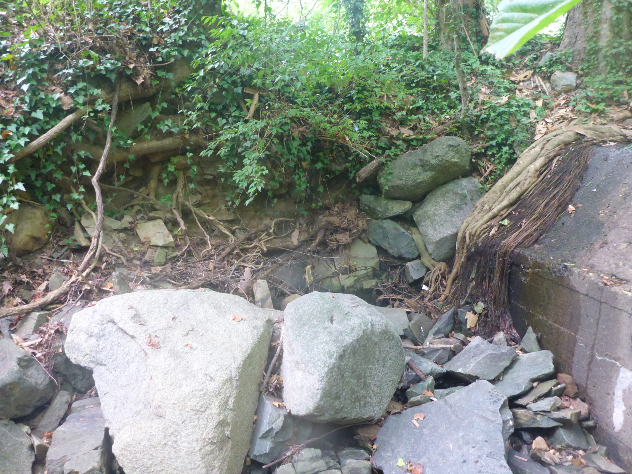 Potomac Interceptor Erosion Study - Coastal Resources, Inc.