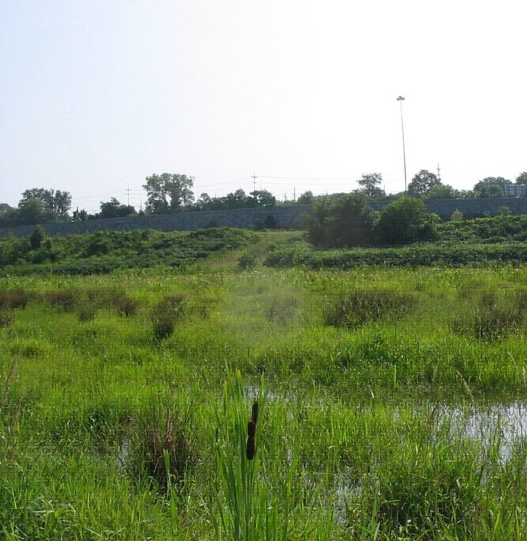 Energy - Coastal Resources, Inc.