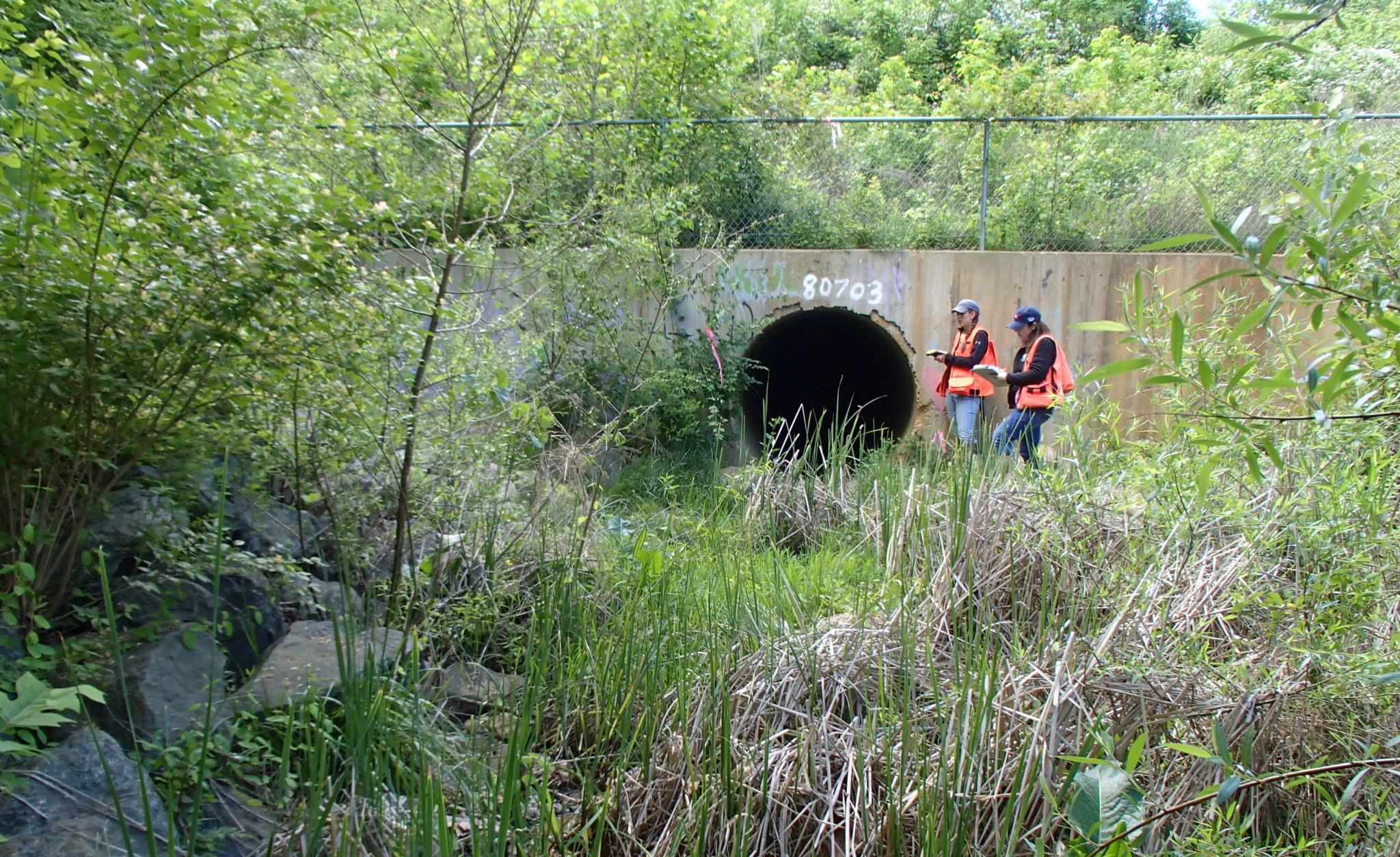 Purple Line Study and General Engineering Consultants - Coastal ...