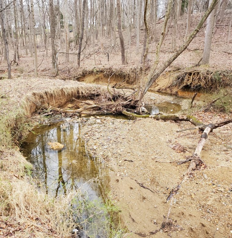 Stream Restoration, Design, and Monitoring - Coastal Resources, Inc.