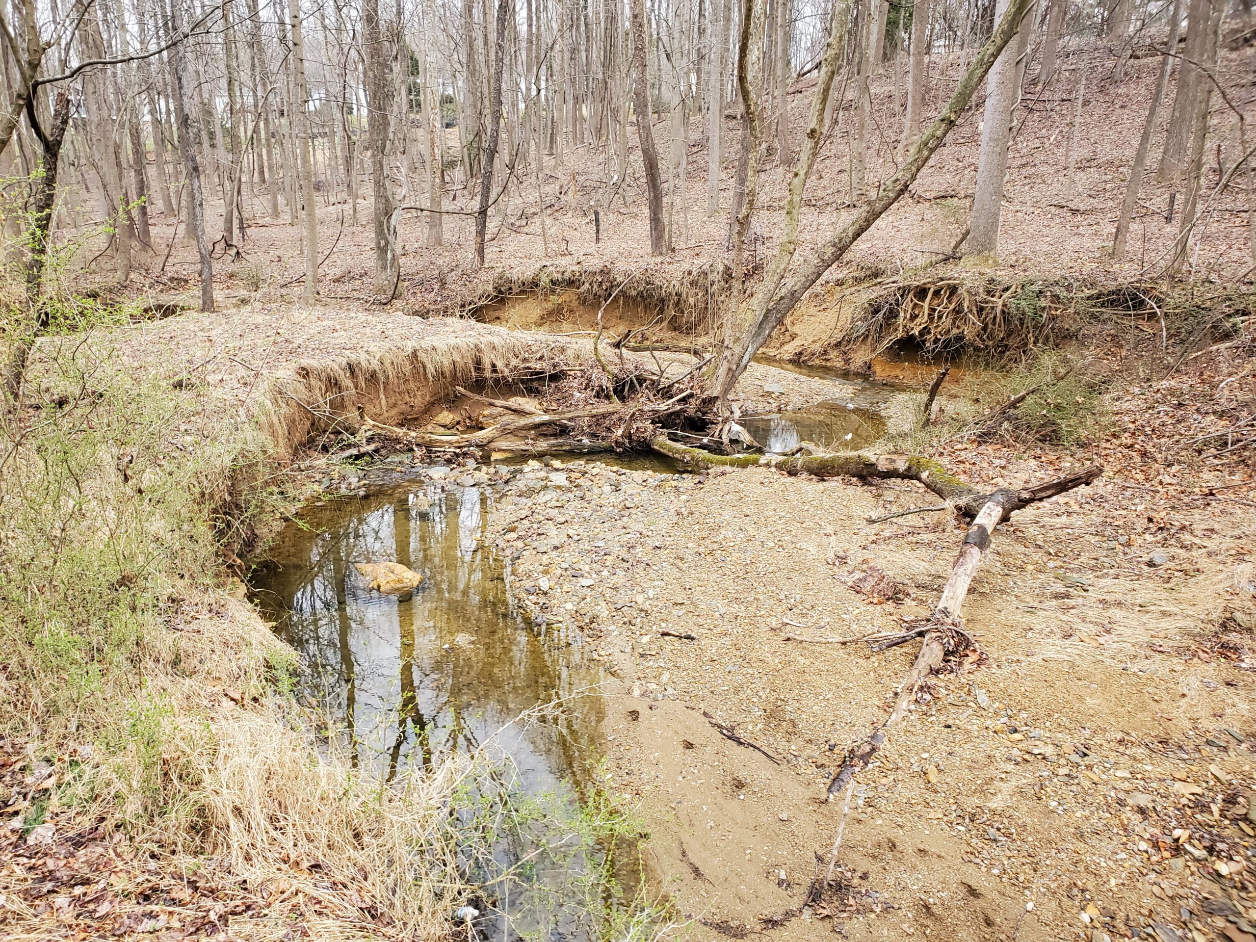 I-495 I-270 Managed Lanes Study CA-5 (Unnamed Tributary to Great Seneca ...