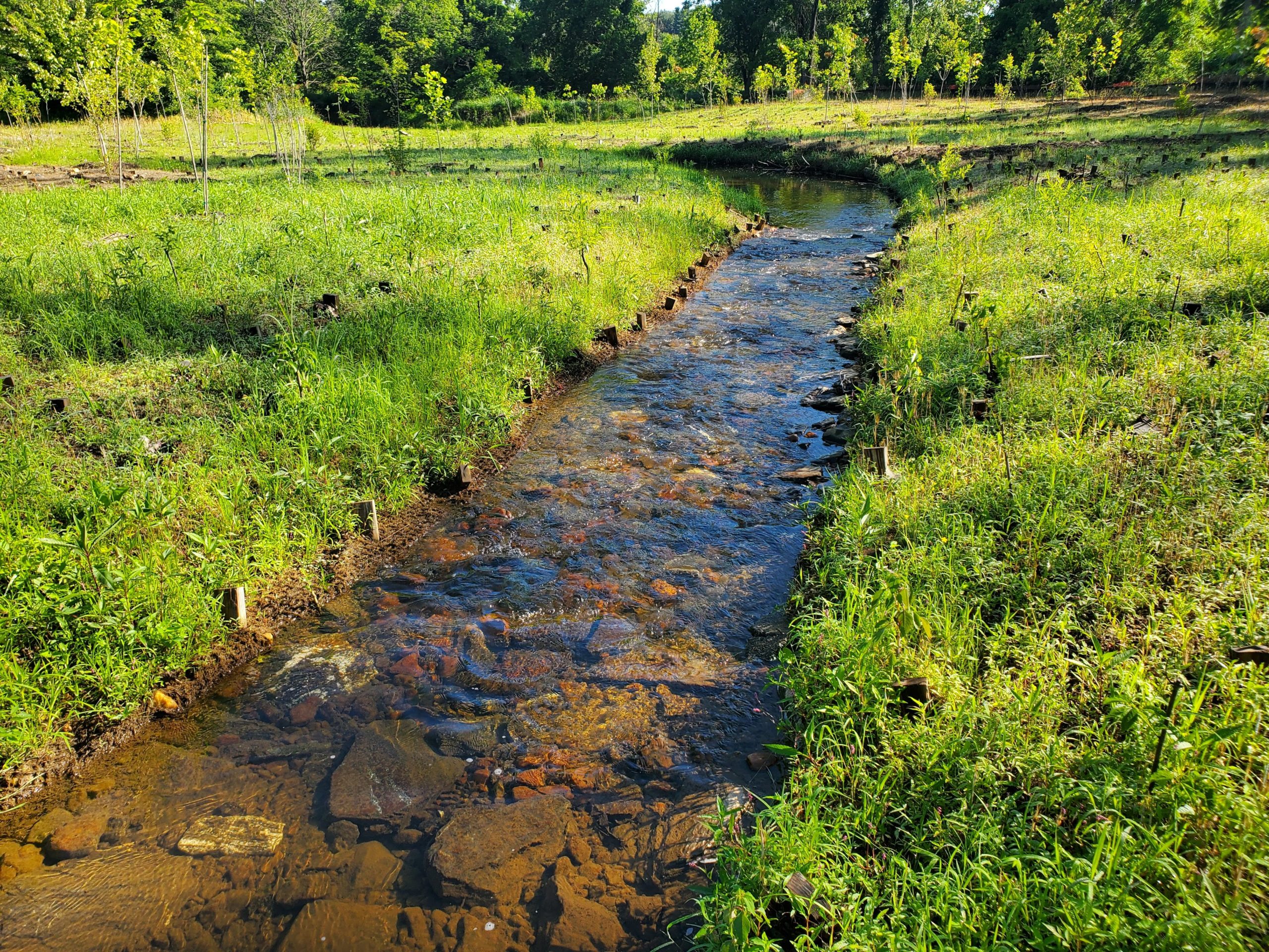 MD 32 Design-Build from Linden Church Road to I-70 Stream and Wetland ...