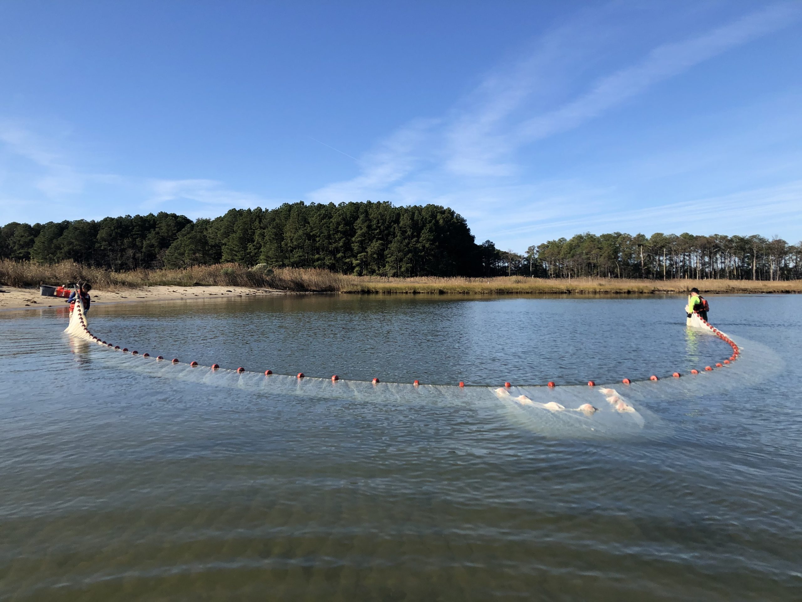Mid-Chesapeake Bay Islands Ecosystem Restoration - Coastal Resources, Inc.